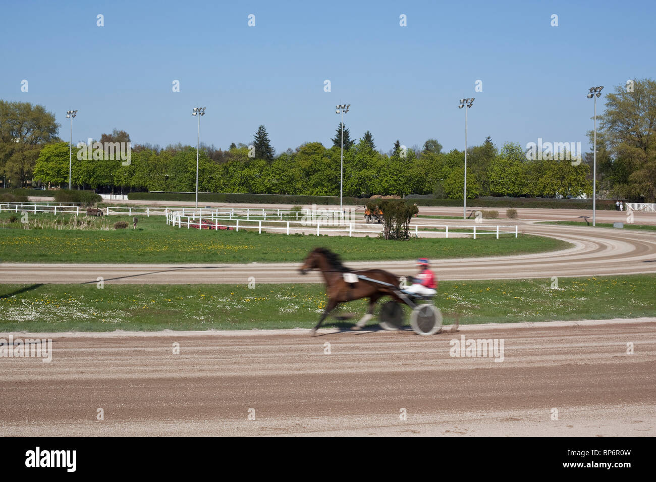 Harness racer on a track Stock Photo - Alamy