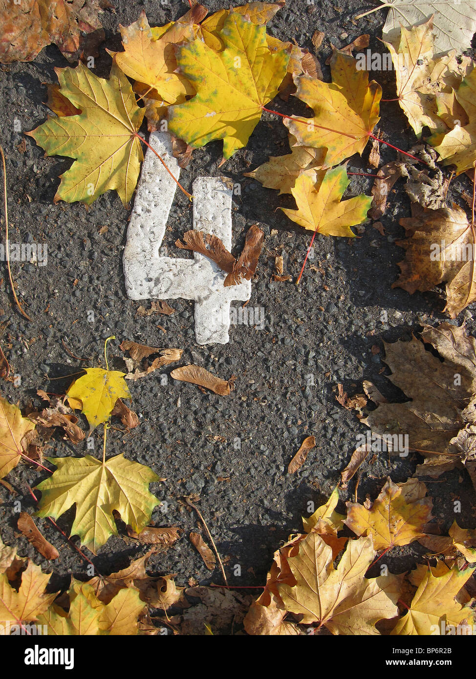 Number 4 leaves hi-res stock photography and images - Alamy