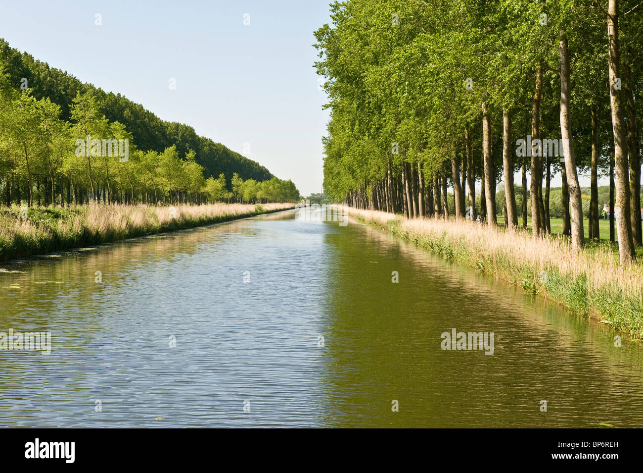 Canal from Damme to Bruges, Flemish Region, Belgium Stock Photo - Alamy