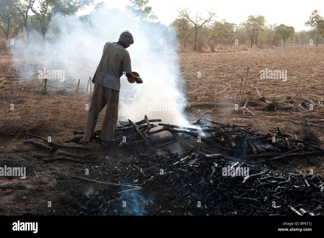 Burn trees sahel hi-res stock photography and images - Alamy