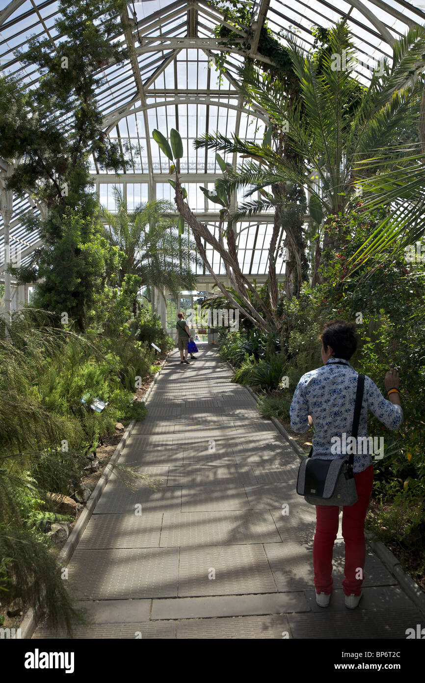 Conservatory sunny big england uk hi-res stock photography and images ...