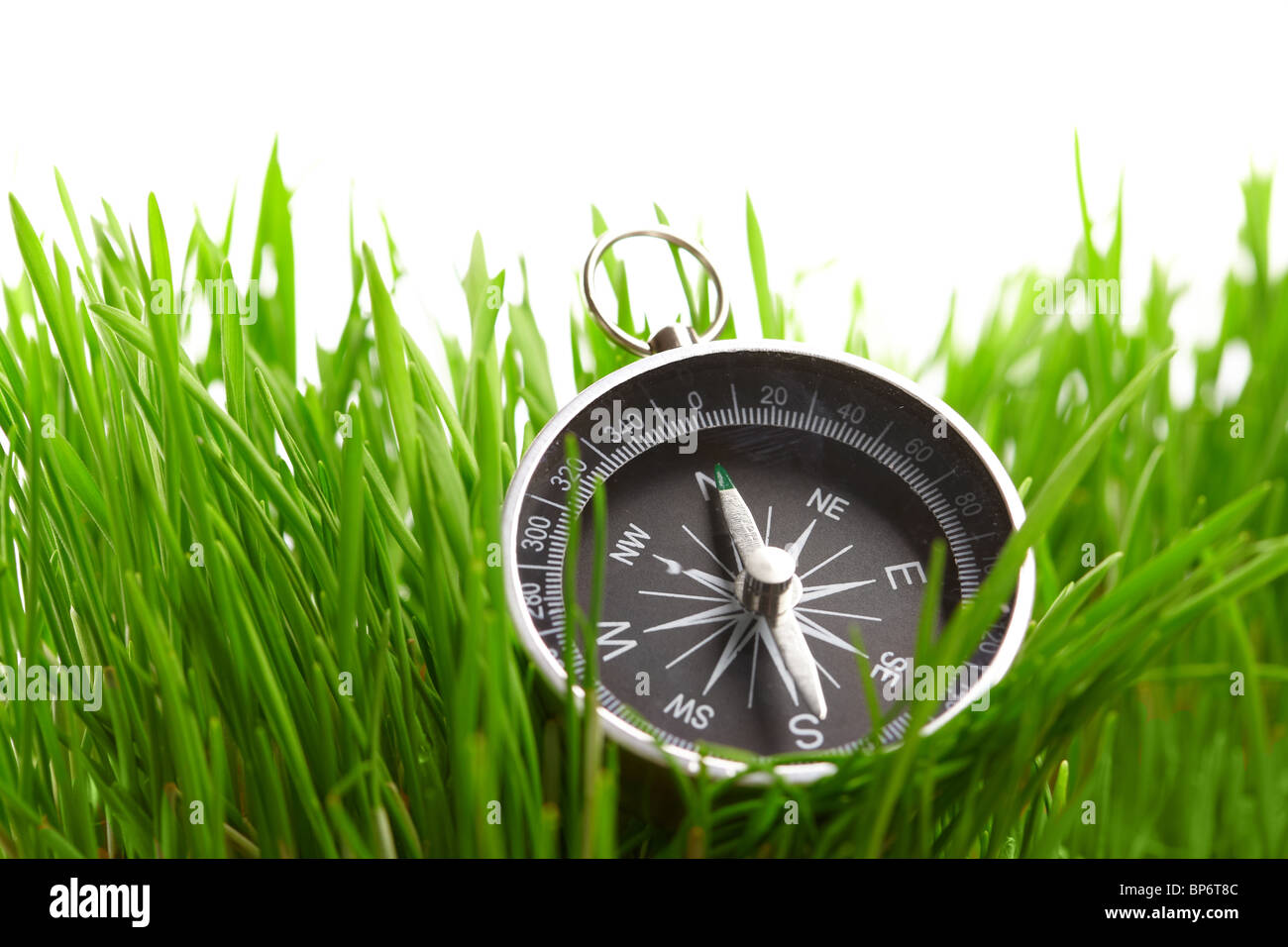 compass in green grass Stock Photo - Alamy