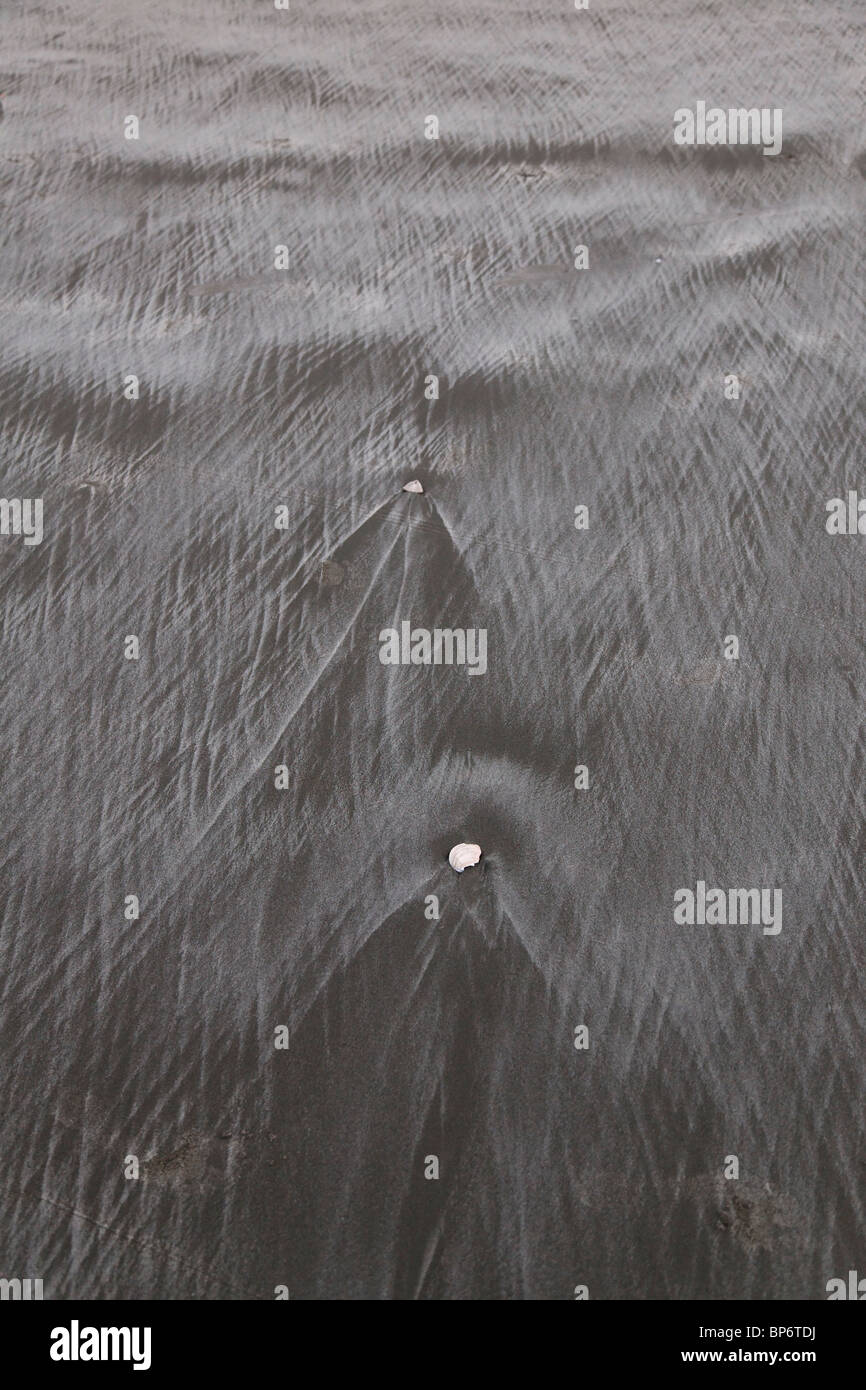 Shells and textured sand patterns on Ohope Beach Stock Photo - Alamy