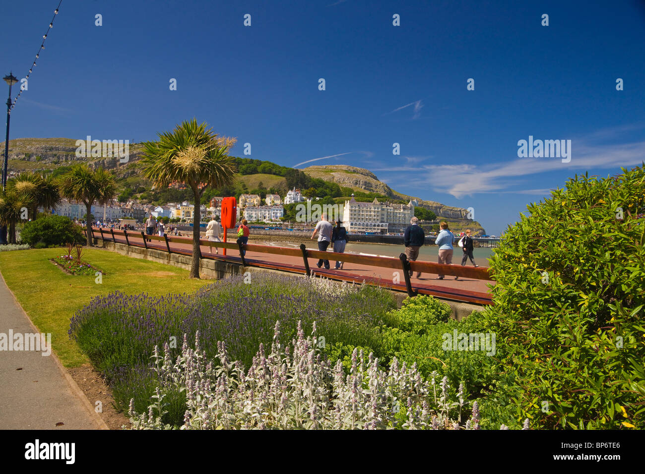 LLandudno, promenade, great orme, north Wales, UK Stock Photo - Alamy