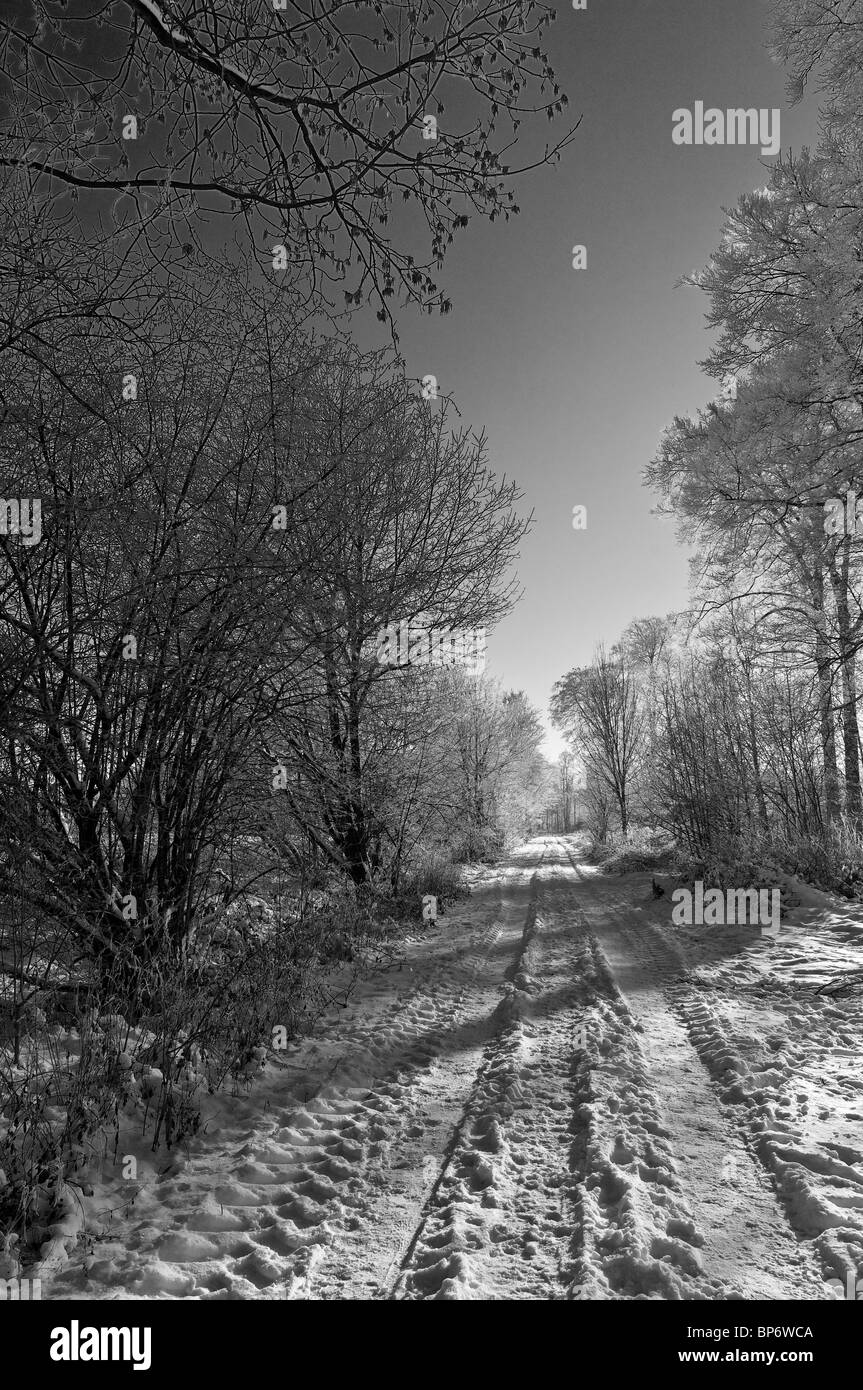 Landscape winter landscape Black and White Stock Photos & Images - Alamy