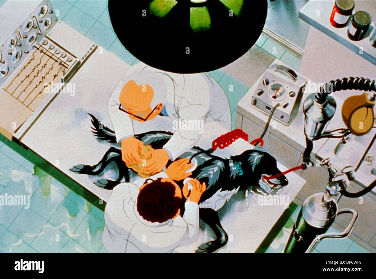 Dog Lab Research High Resolution Stock Photography and Images - Alamy