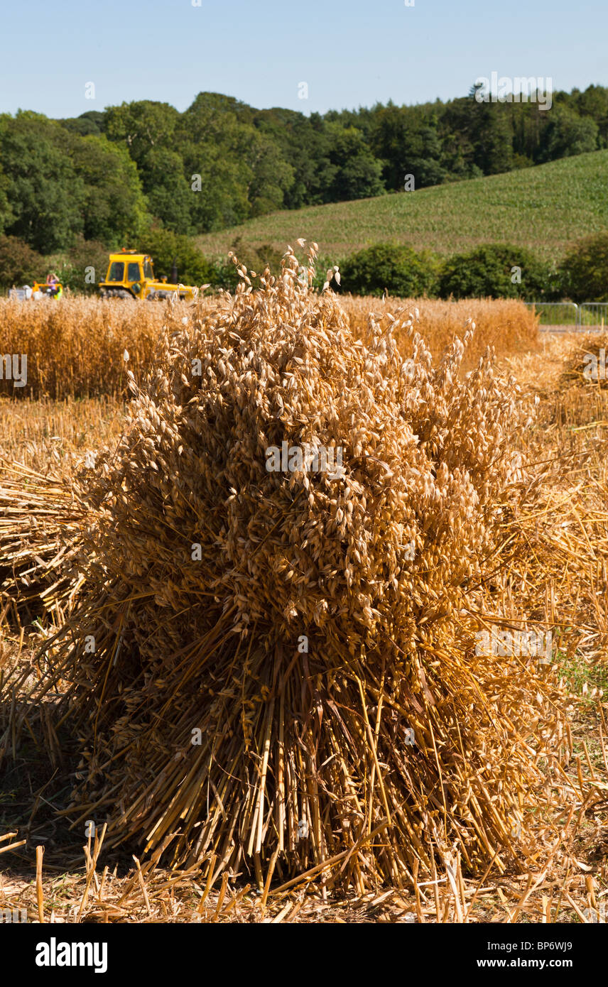 Stook hi-res stock photography and images - Alamy