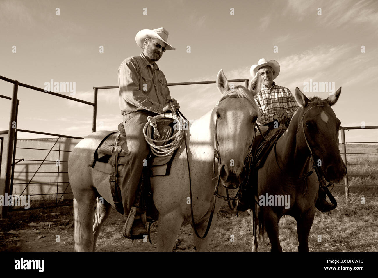 Cowboys on horses hi-res stock photography and images - Alamy
