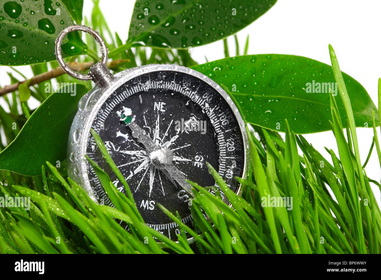 compass in green grass Stock Photo - Alamy