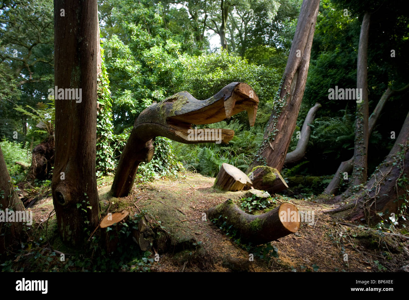 Sculpture of a crocodile made from a tree stump in Trevarno Gardens ...