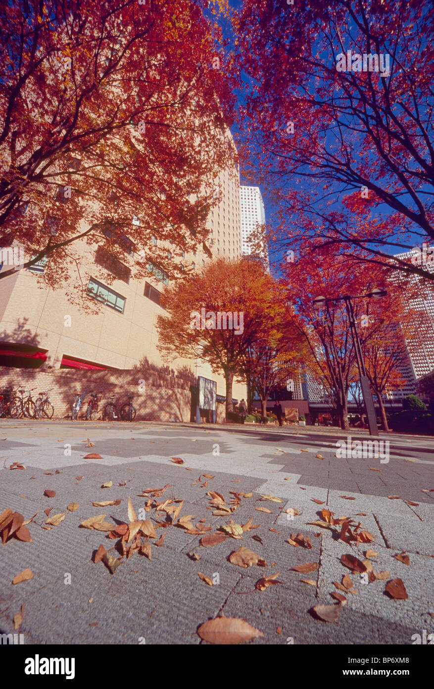 Tokyo shinjuku square hi-res stock photography and images - Alamy