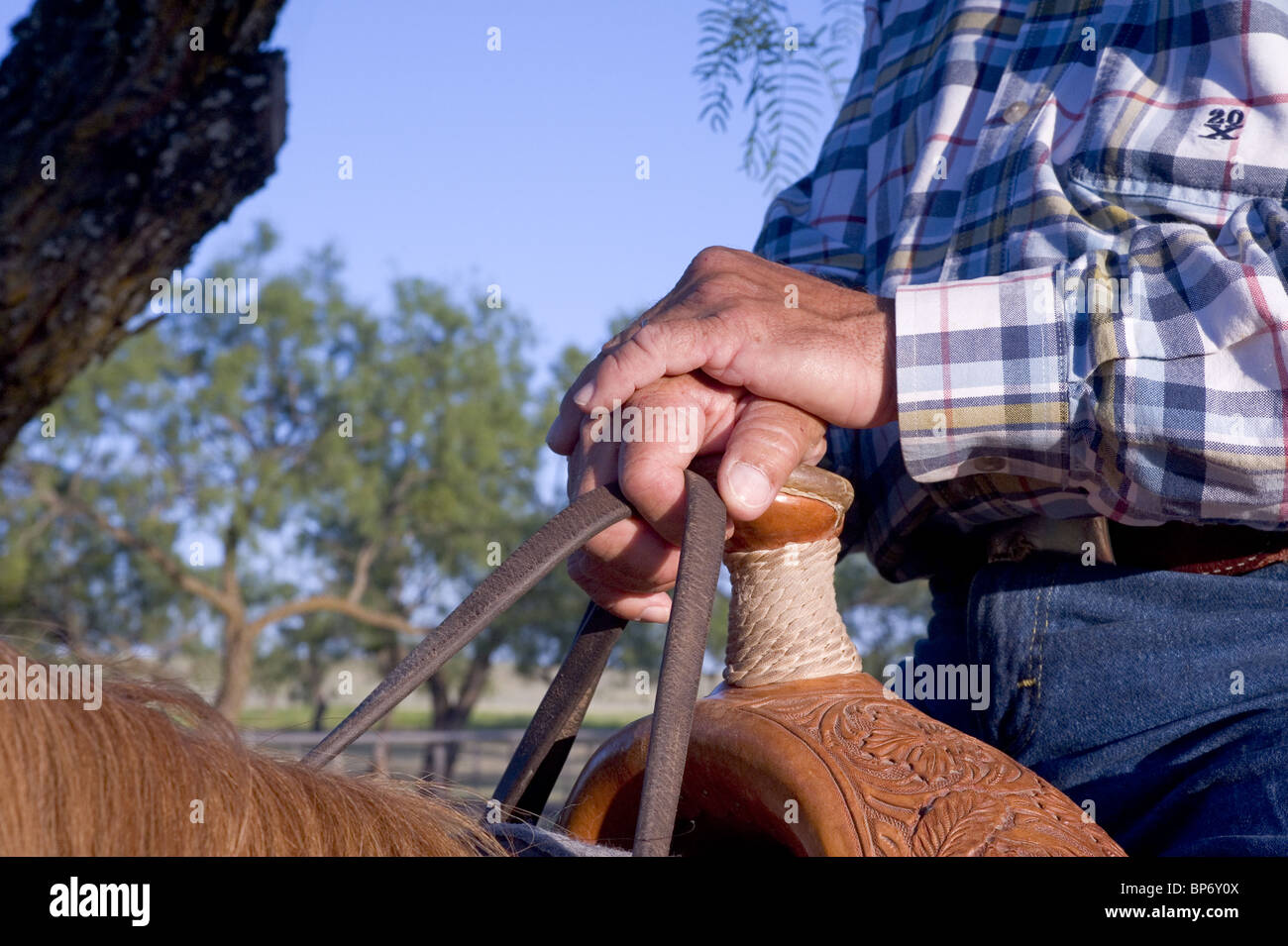Hands cowboy on saddle horn hi-res stock photography and images - Alamy