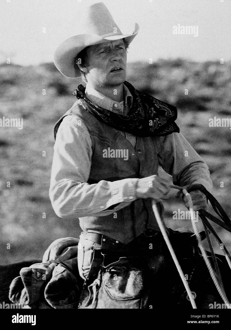 David Rose High Resolution Stock Photography and Images - Alamy