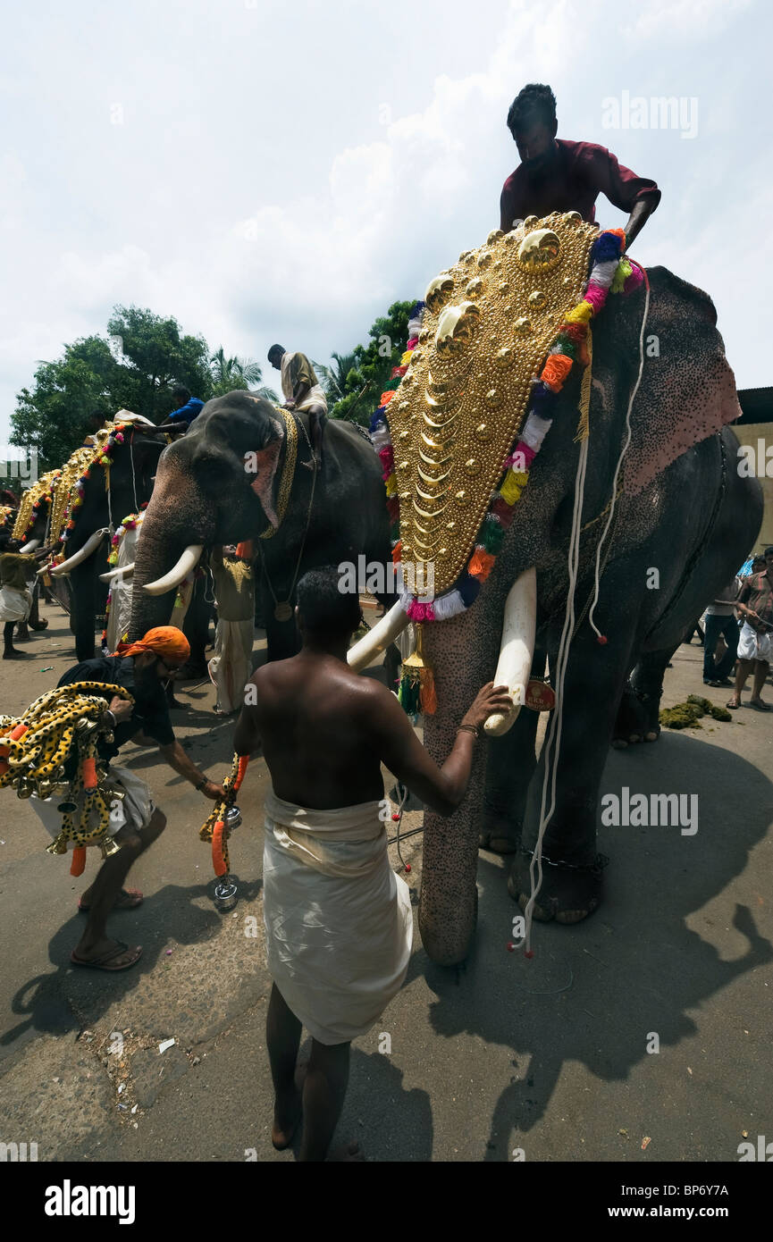 India Kerala Thrissur elephants dressing for the Pooram Elephant ...