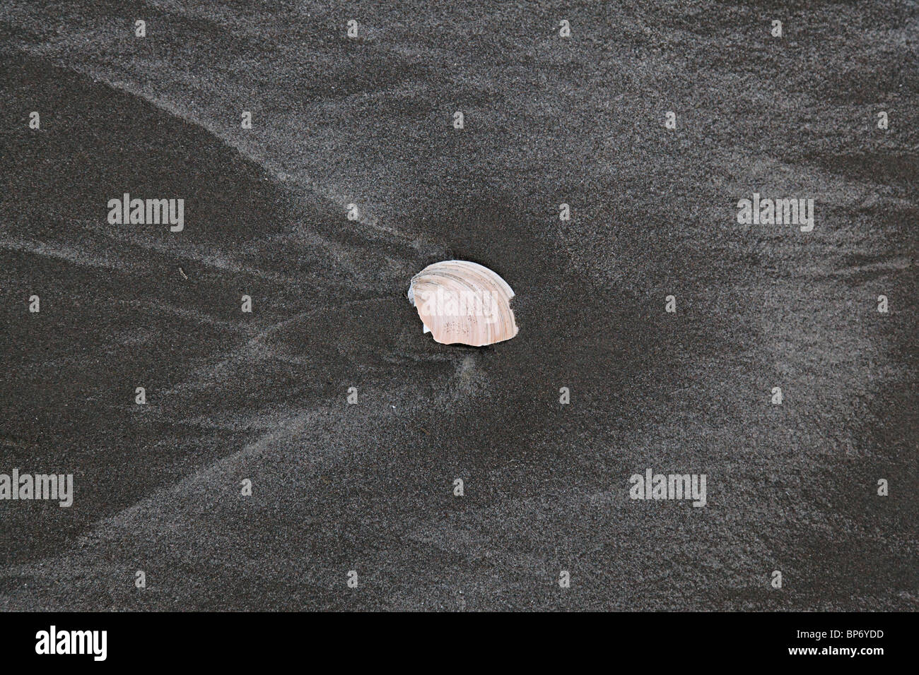 Shells and textured sand patterns on Ohope Beach Stock Photo - Alamy