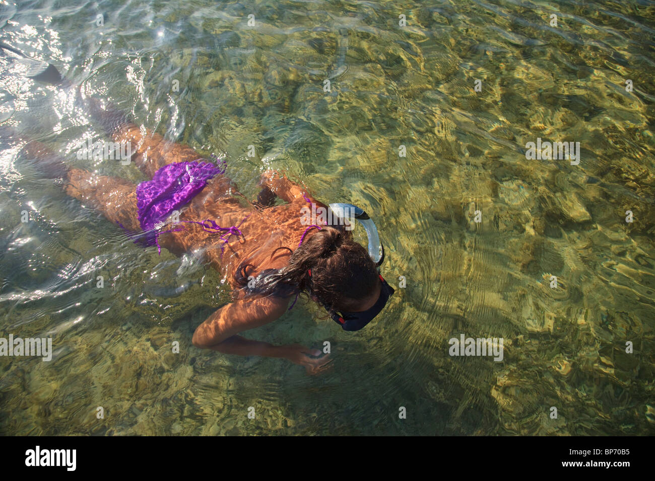 Roatan, Bay Islands, Honduras; A Young Woman Snorkeling At Anthony's ...