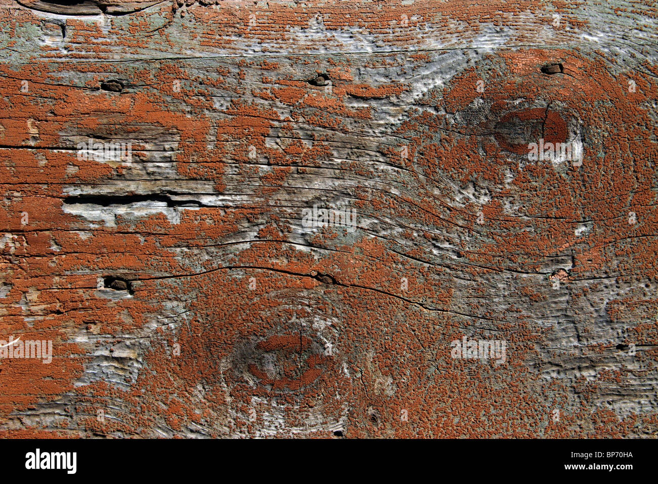 Weathered wood panel Stock Photo - Alamy