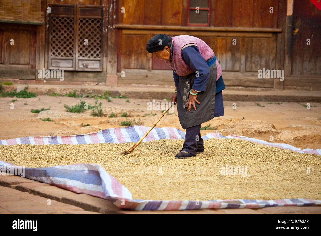 Agriculture china chinese drying hi-res stock photography and images ...