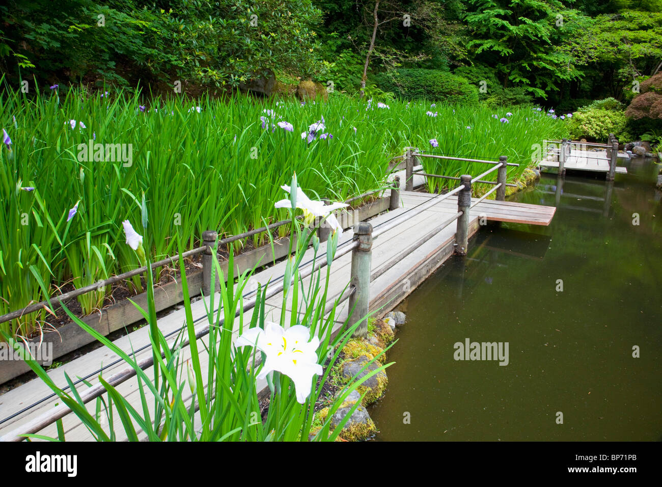 Portland japanese gardens and spring hi-res stock photography and ...