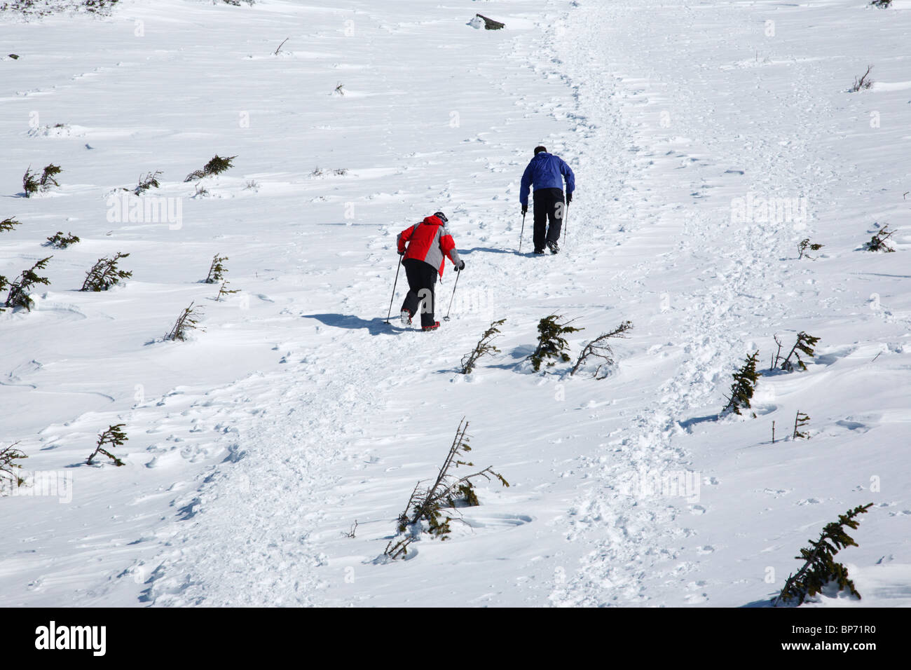 Appalachian mountains winter alpine zone hi-res stock photography and ...