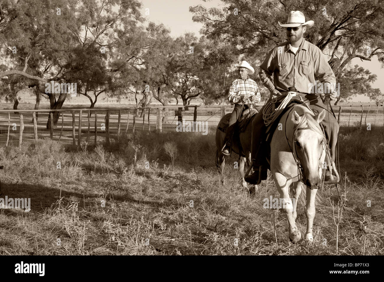 Cowboys on Horseback Stock Photo - Alamy