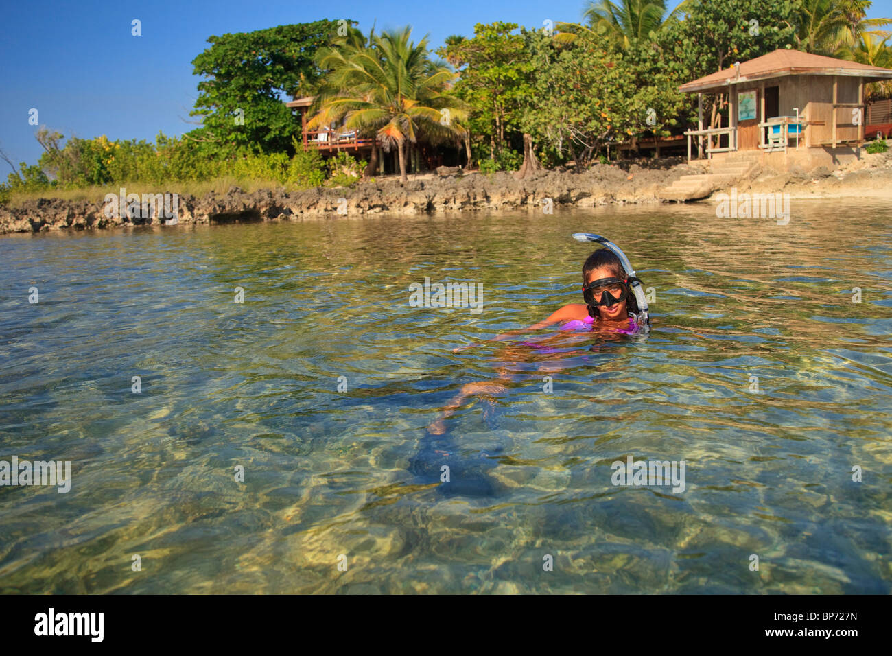 Roatan, Bay Islands, Honduras; A Young Woman Snorkeling At Anthony's ...