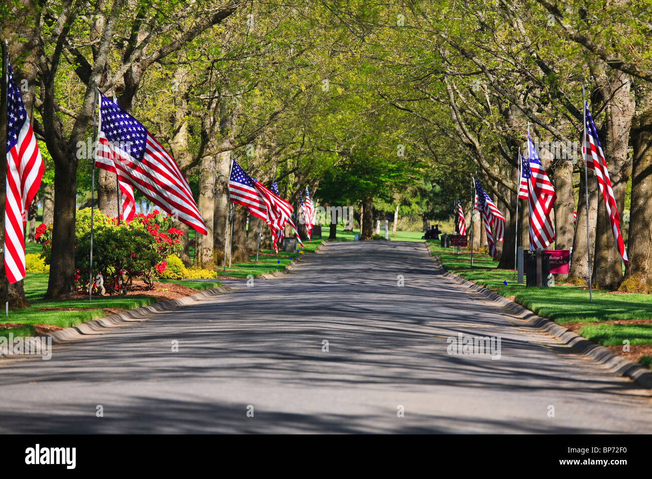 Waving flags icons hi-res stock photography and images - Alamy