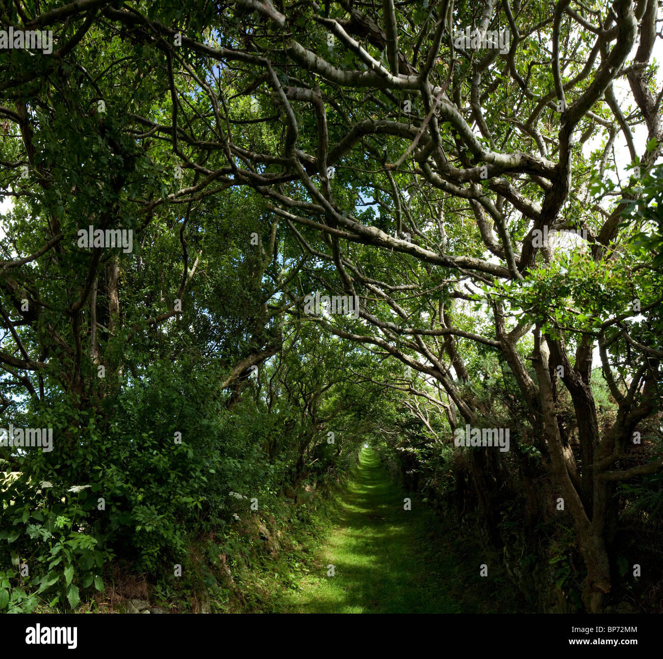 County Down Countryside High Resolution Stock Photography and Images ...