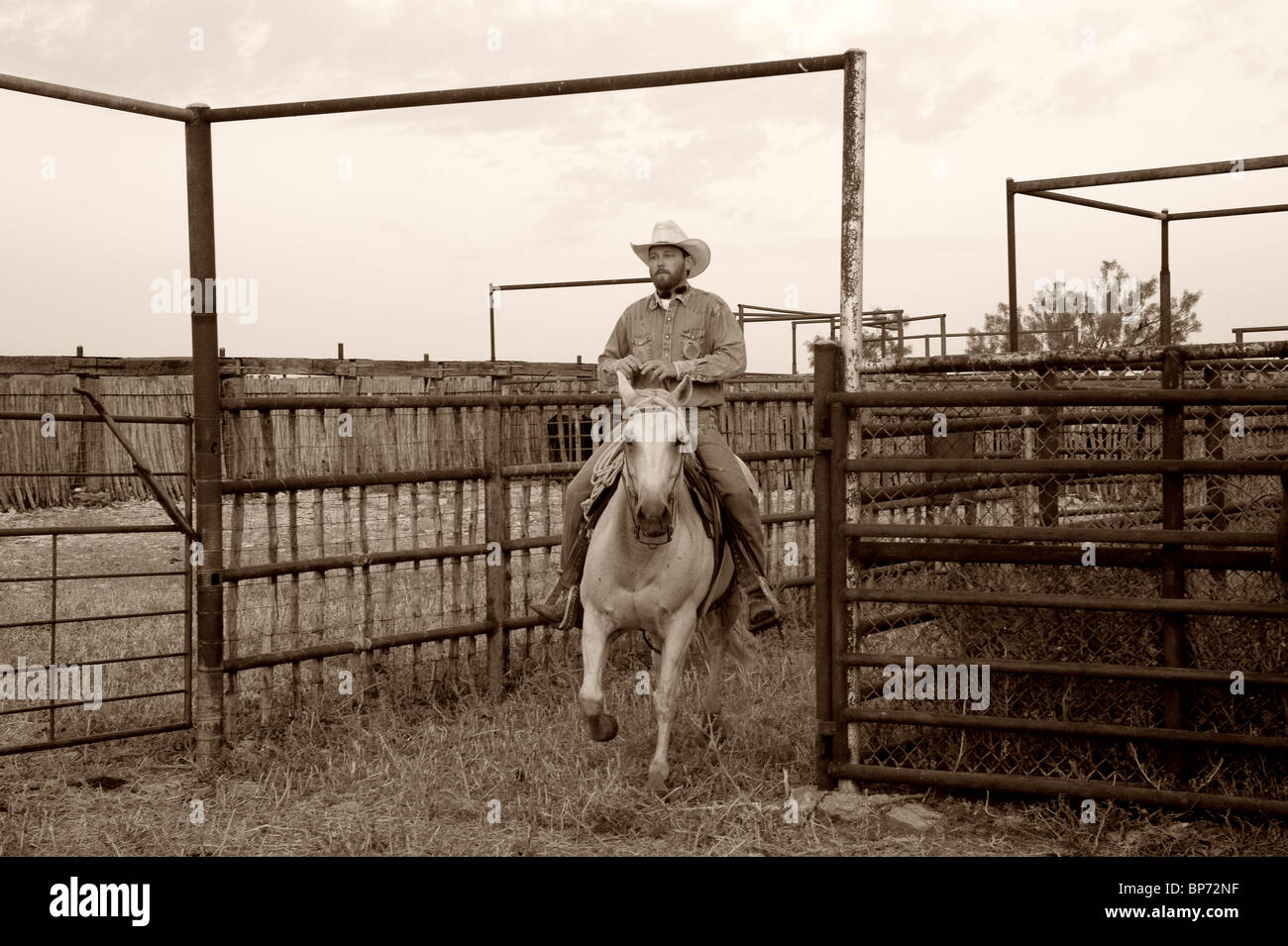 Cowboys in corral hi-res stock photography and images - Alamy