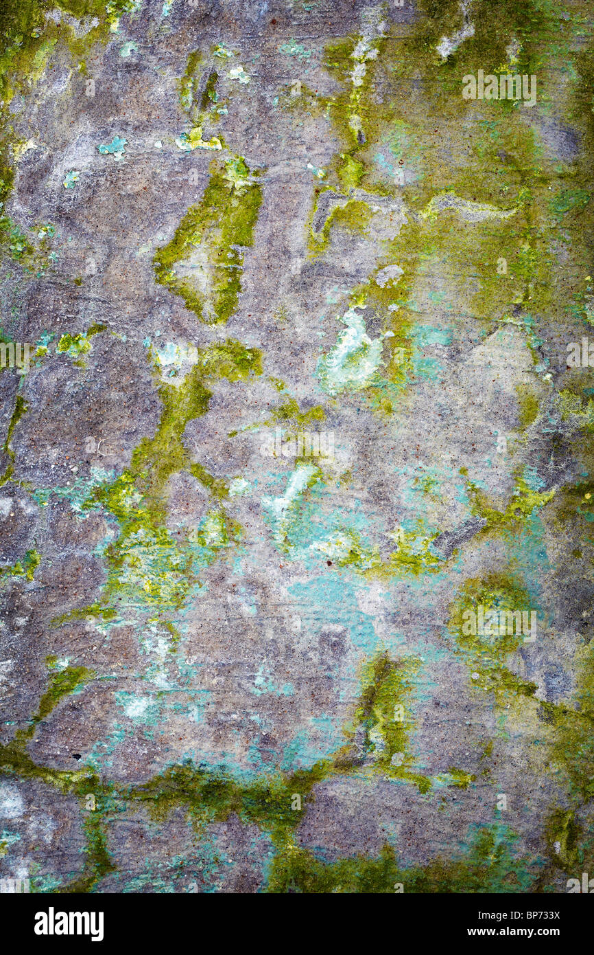 Background from an old grunge decayed concrete wall with stains Stock ...