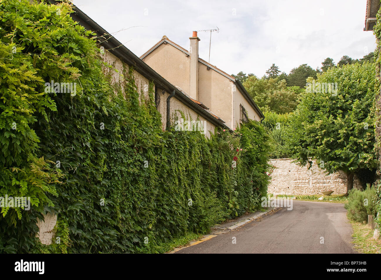 Country lane with trees hi-res stock photography and images - Alamy