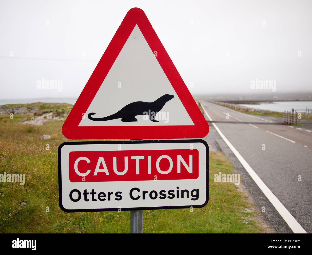 Caution Otters Crossing Road Sign High Resolution Stock Photography and ...