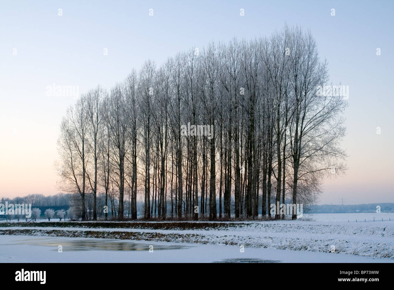 Holland frost hi-res stock photography and images - Alamy