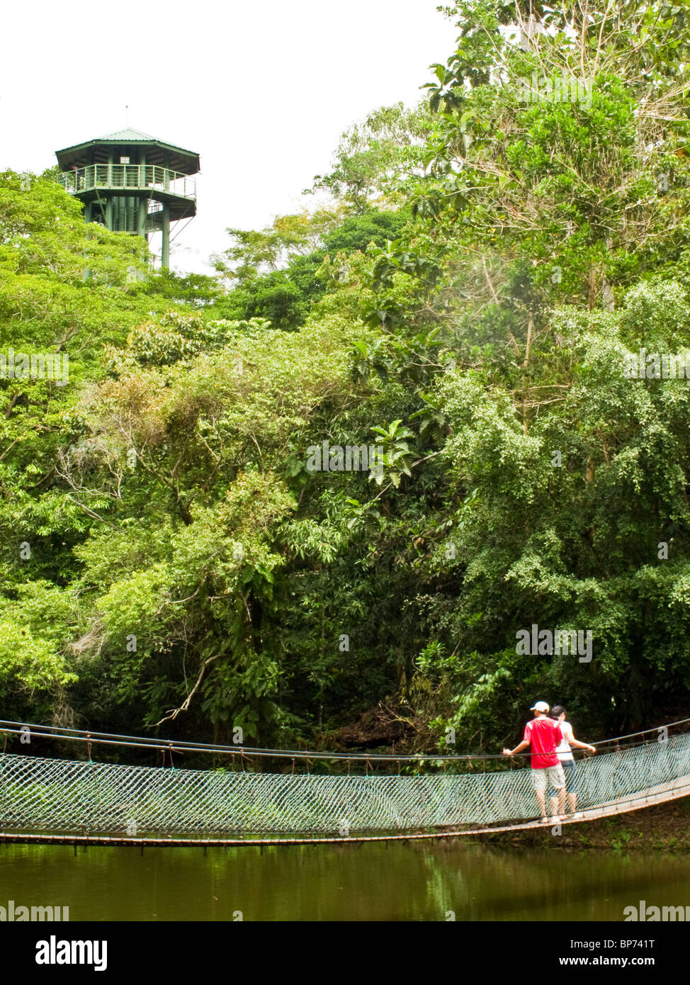 Two people on the rope bridge The Rainforest Discovery Centre Sandakan ...