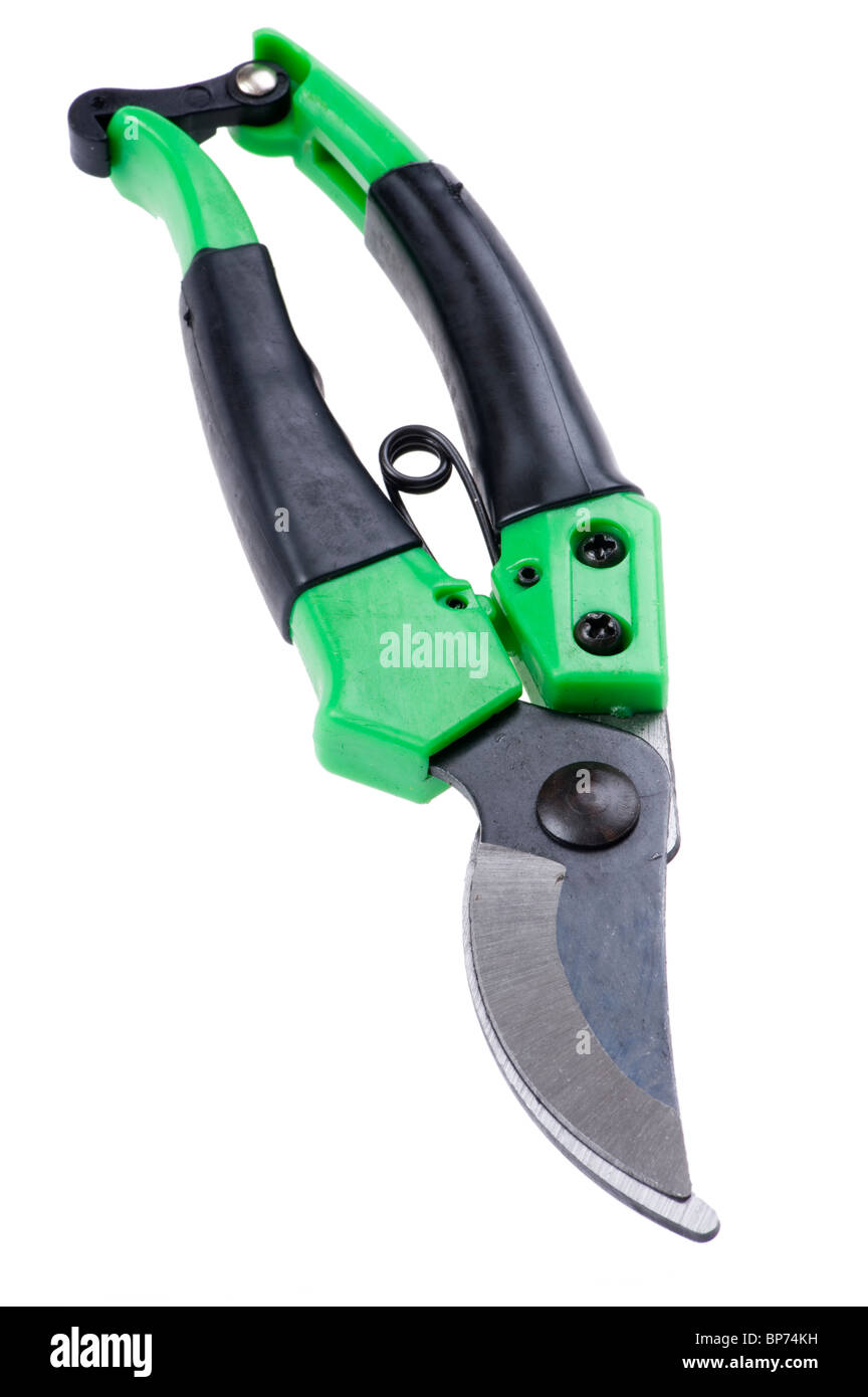 object on white - tool secateur close up Stock Photo - Alamy
