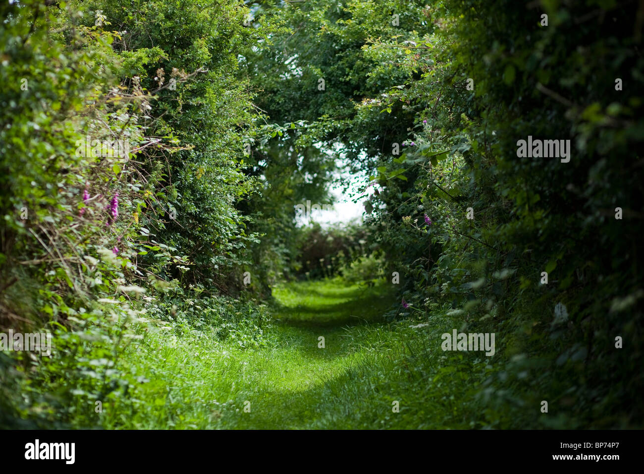 Pathway stone circle hi-res stock photography and images - Alamy