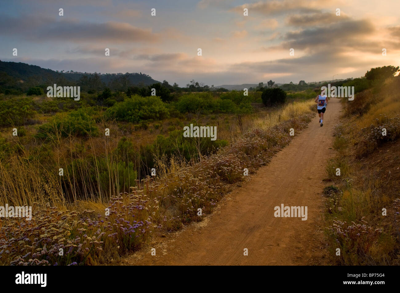 Man running alone on trail through the Los Penasquitos Canyon Preserve ...