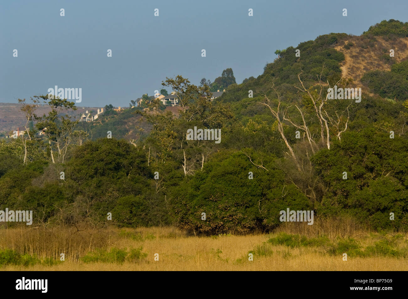 Unspoiled riparian environment hi-res stock photography and images - Alamy
