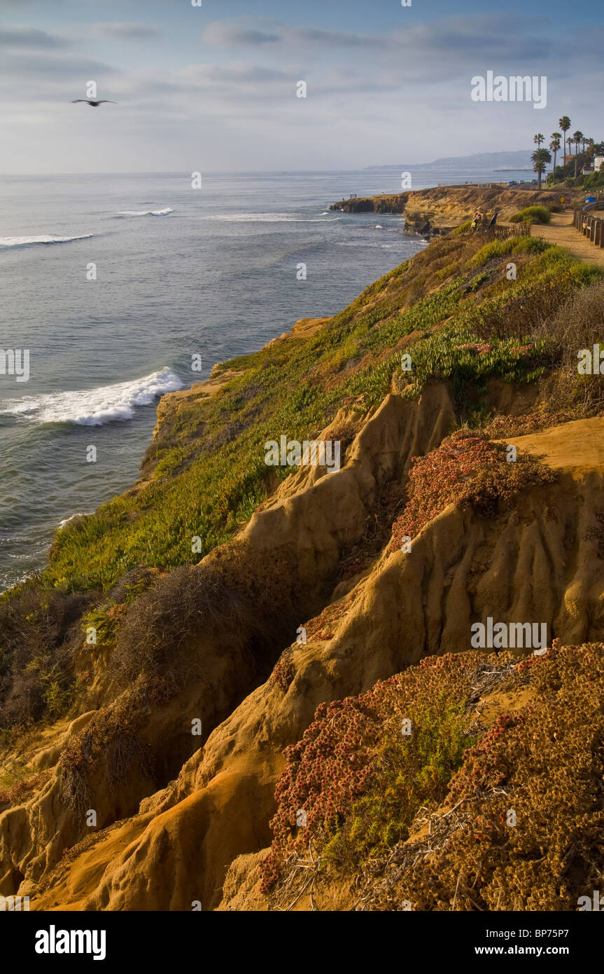 Flying over ocean cliffs sunset hi-res stock photography and images - Alamy
