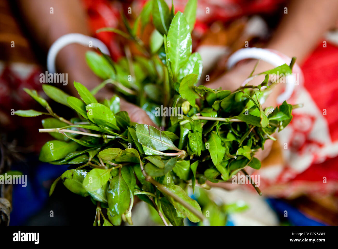 Woman preparing fresh food in a kitchen in Bangladesh Stock Photo - Alamy