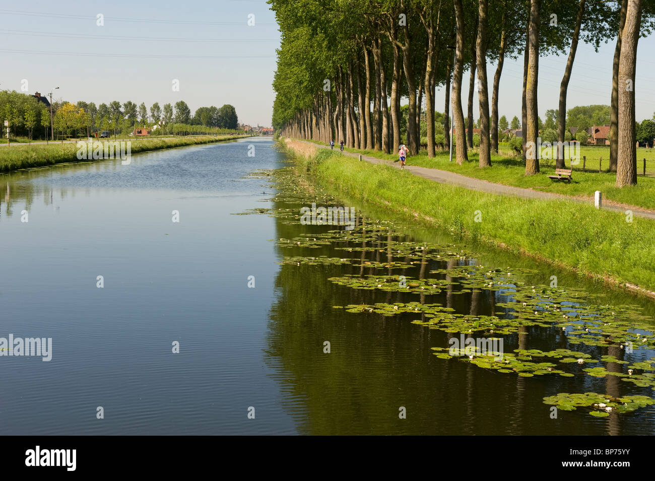 Damme canal hi-res stock photography and images - Alamy
