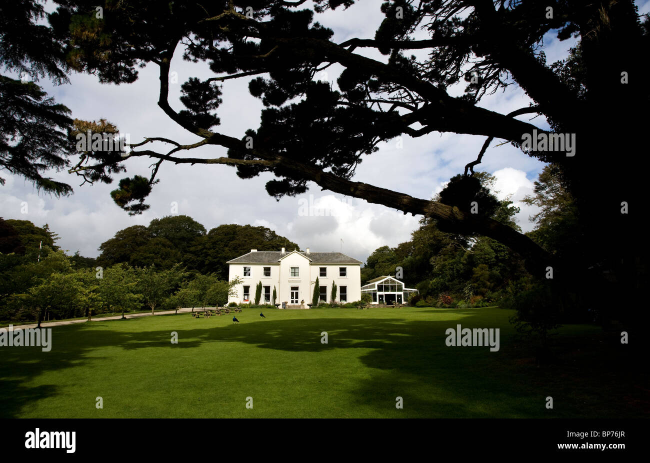 The house at Trevarno gardens near Helston, Cornwall Stock Photo - Alamy