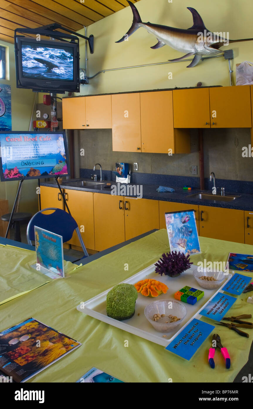 Marine classroom orange county hi-res stock photography and images - Alamy