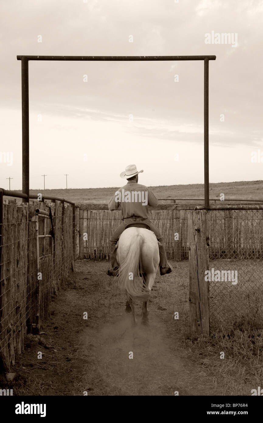 Western Cowboy Horse High Resolution Stock Photography and Images - Alamy