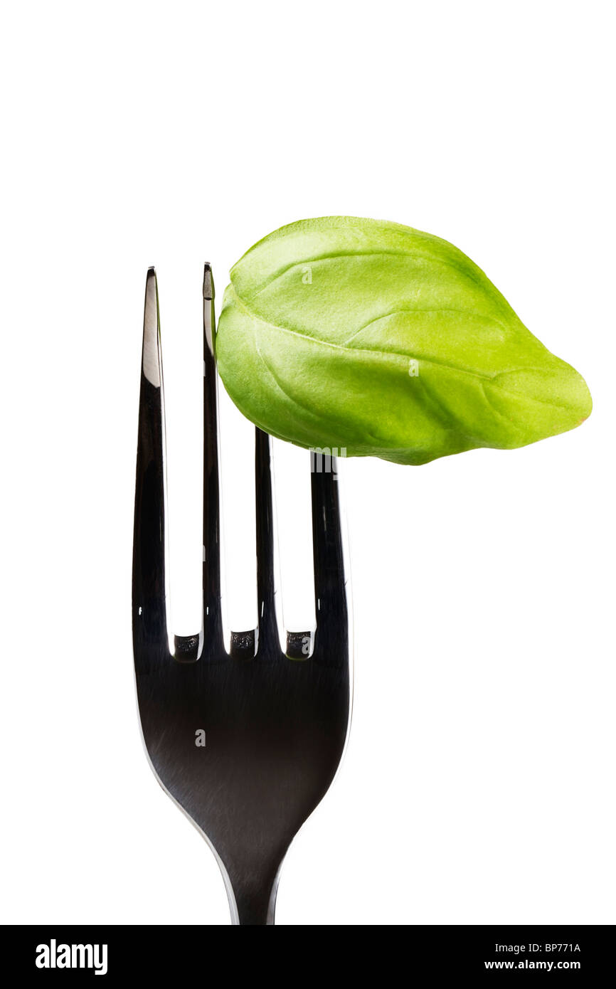 one green basil leaf on fork Stock Photo - Alamy