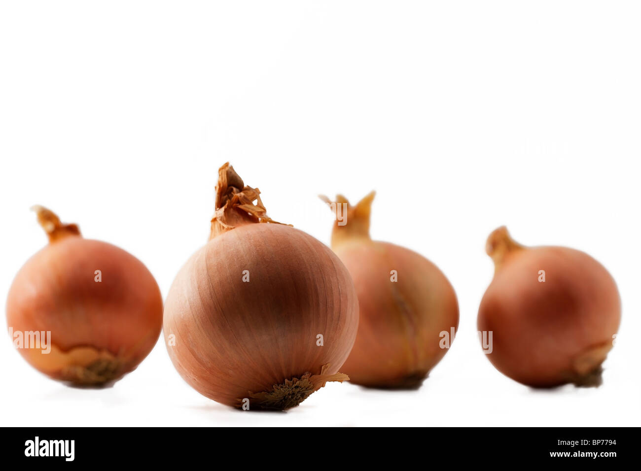 one onion in front of some other onions on white background Stock Photo ...