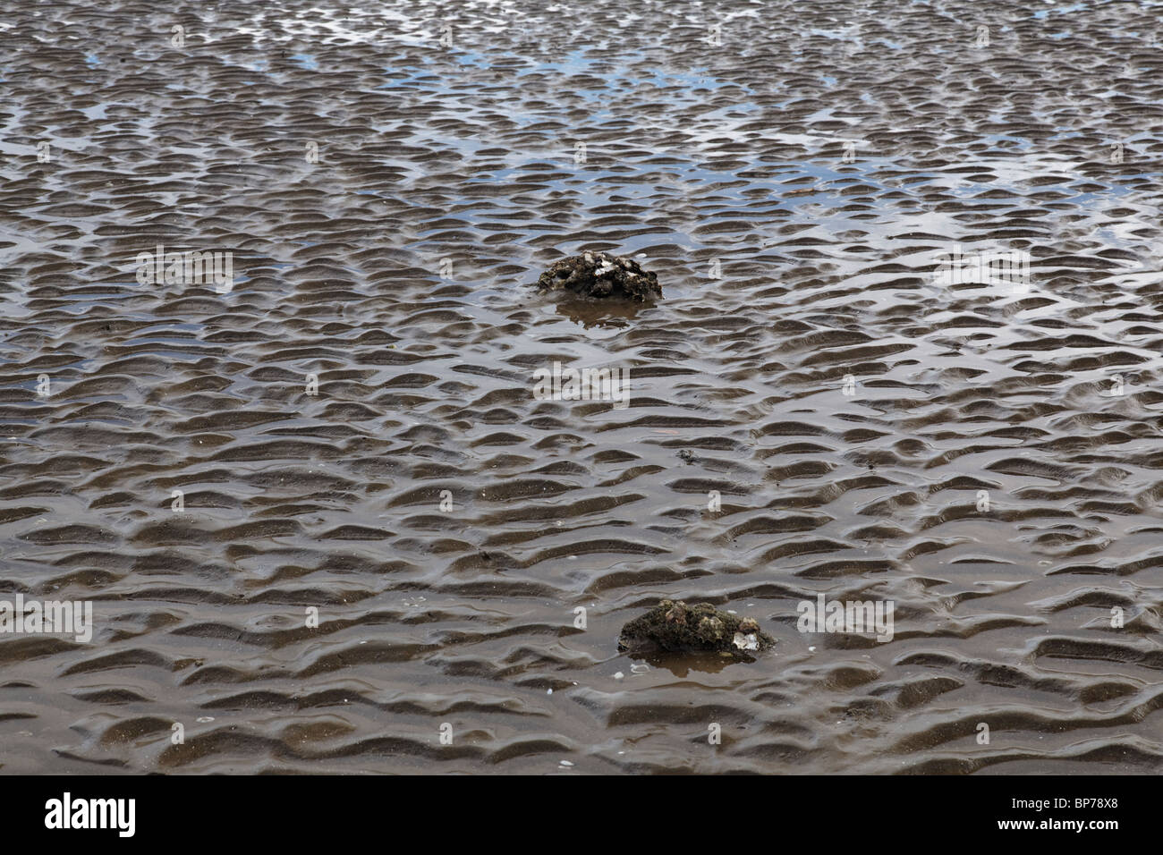 Beach scenes in New Zealand Stock Photo - Alamy