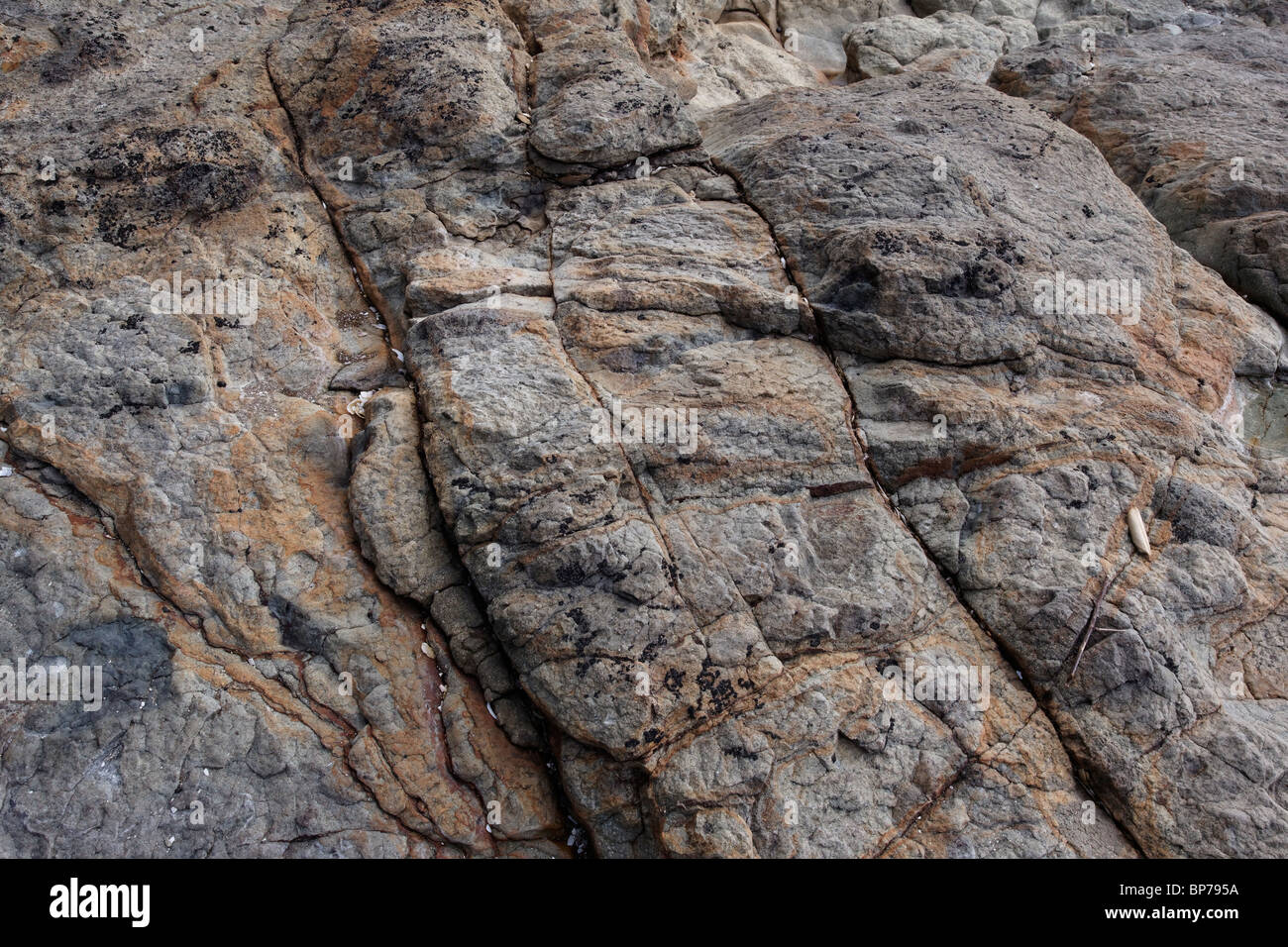 Beach scenes in New Zealand Stock Photo - Alamy