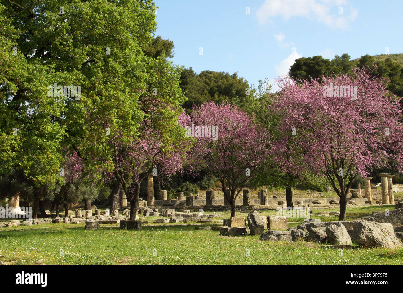 Ruins, Ancient Olympia, Ilia, Peloponnese, Greece Stock Photo - Alamy