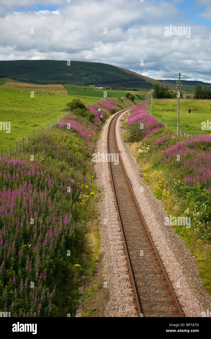 Railway Single Track Line Stock Photos & Railway Single Track Line ...